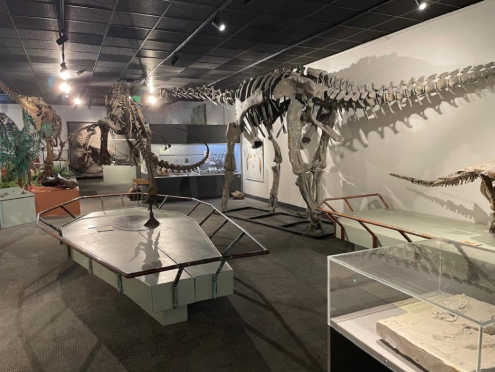 BYU Museum of Paleontology | A-Rock Asphalt